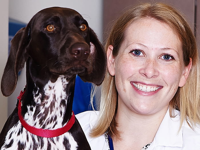 Laura Crow | VCA Advanced Veterinary Care Center