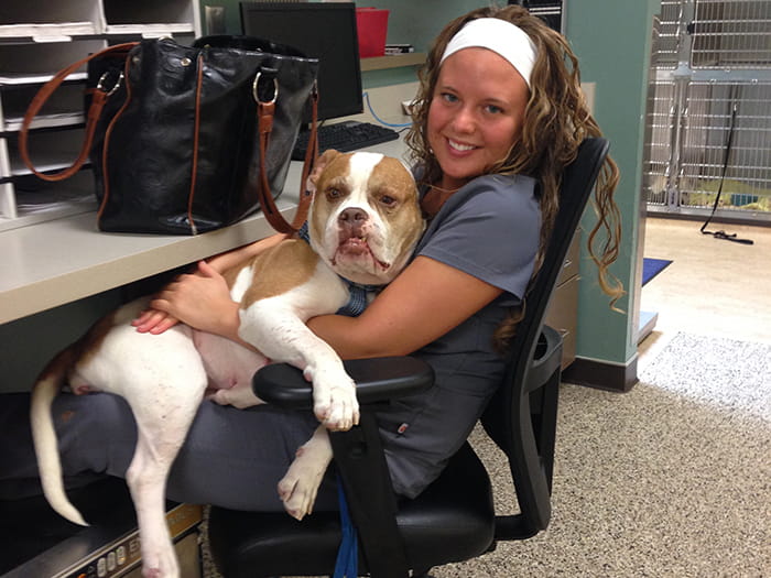 VCA Advanced Veterinary Care Center | Staff Page