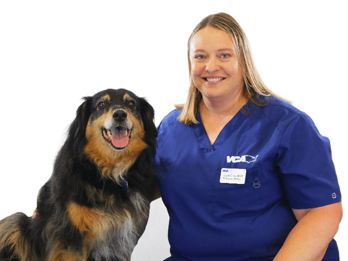 Nicolas Vecchio | VCA Advanced Veterinary Care Center