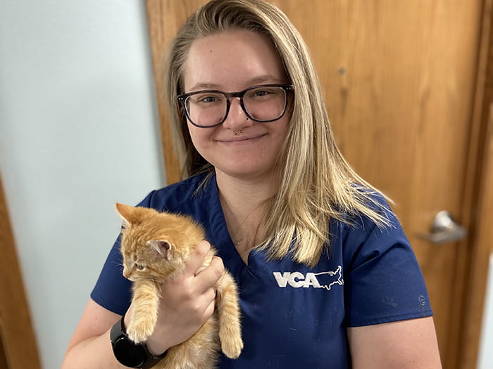 VCA Edgewood Animal Hospital | Staff Page