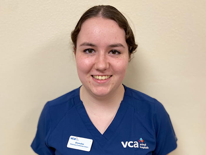 VCA Edgewood Animal Hospital | Staff Page