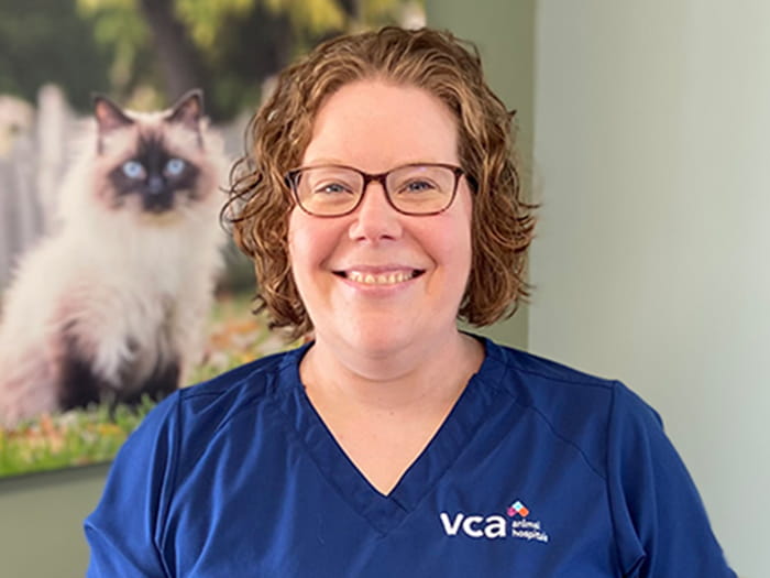 VCA Edgewood Animal Hospital | Staff Page