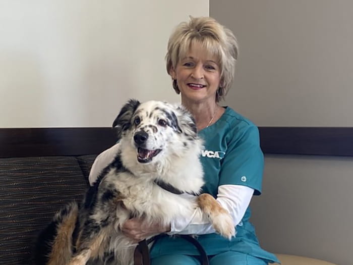 VCA Woodford Animal Hospital, Boarding & Grooming | Staff Page