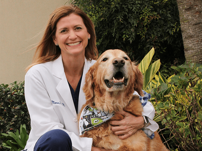 VCA Causeway Animal Hospital | Staff Page