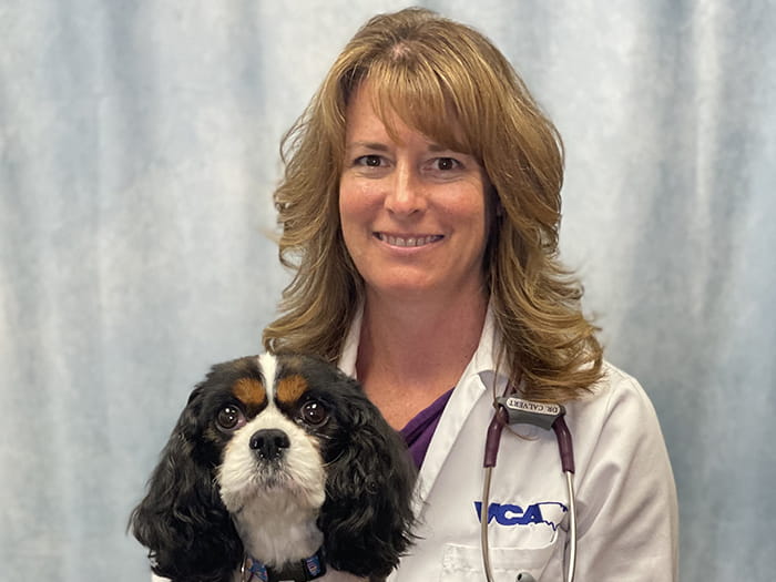 VCA Calvert Veterinary Center | Staff Page