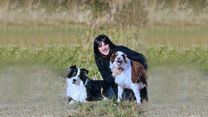 Our Hospital | VCA Lewis Animal Hospital