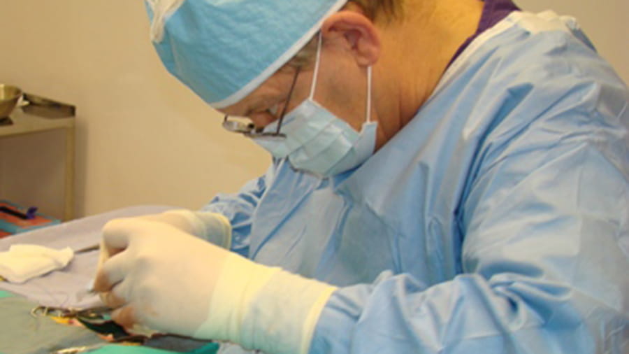 Our Hospital | VCA Capeway Animal Hospital