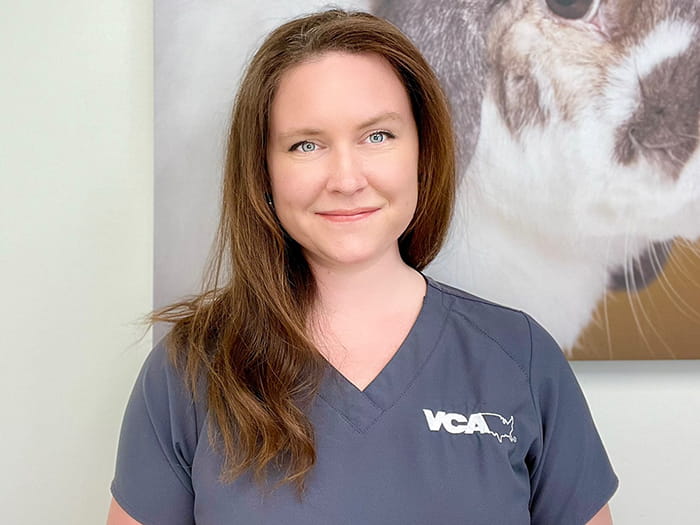 VCA Hanson Animal Hospital | Staff Page