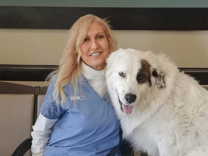 VCA City Cats Hospital | Staff Page