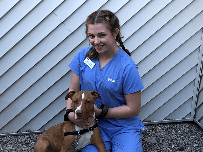 VCA Wakefield Animal Hospital | Staff Page