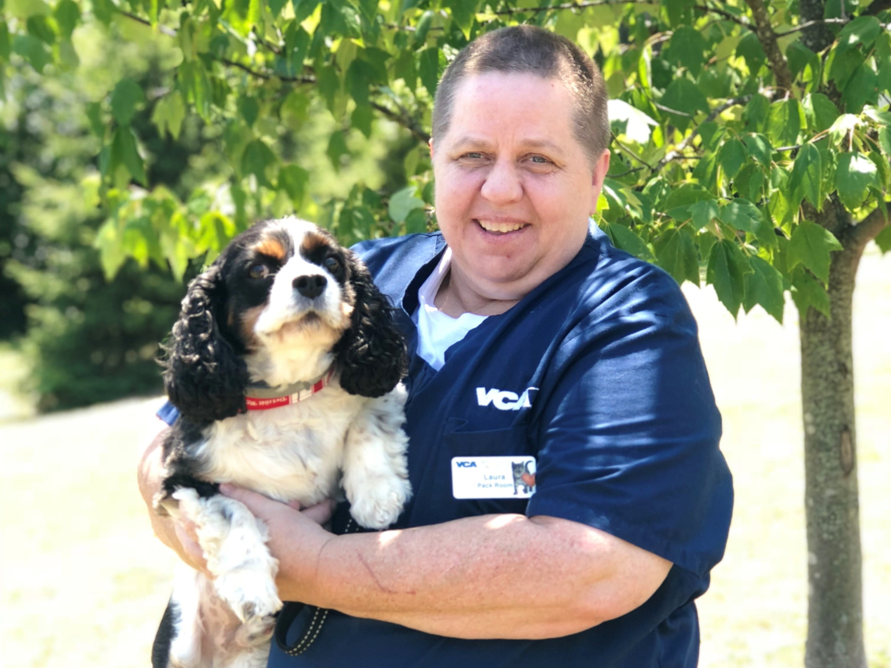 VCA Jackson Animal Hospital | Staff Page