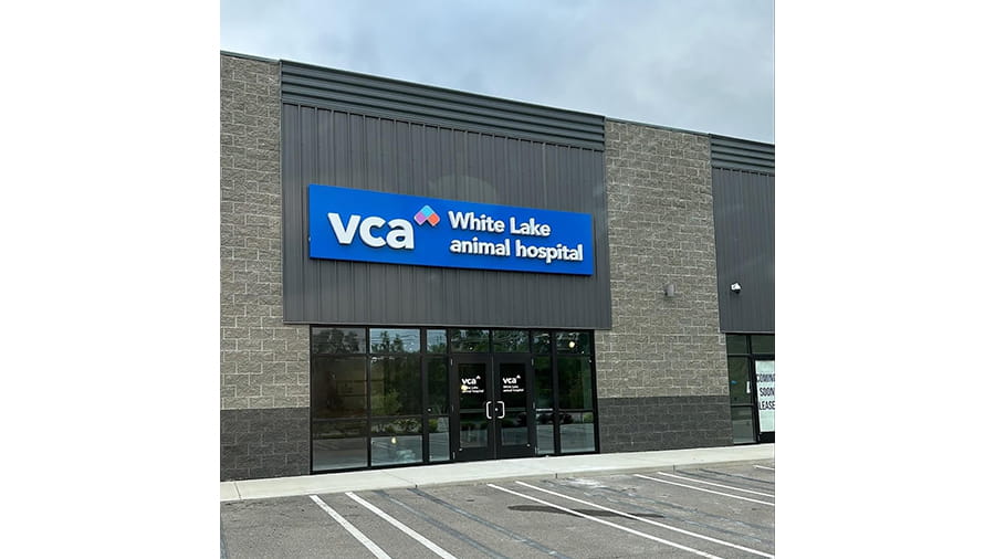 Our Hospital Vca White Lake Animal Hospital