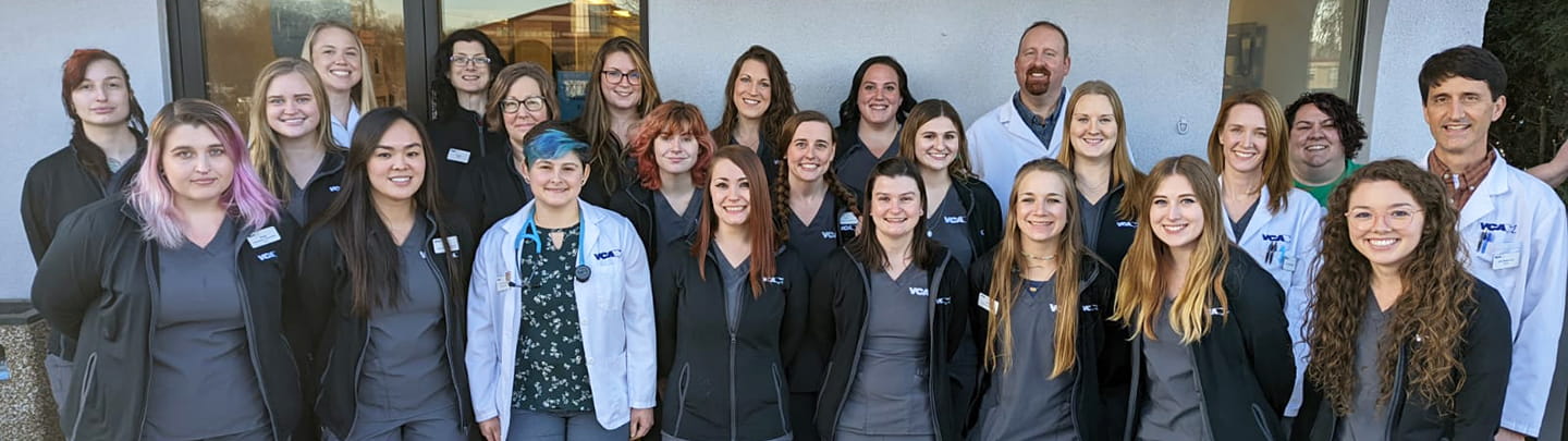 VCA Feist Animal Hospital | Staff Page