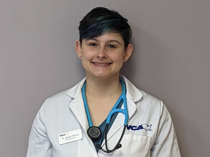 VCA Feist Animal Hospital | Staff Page