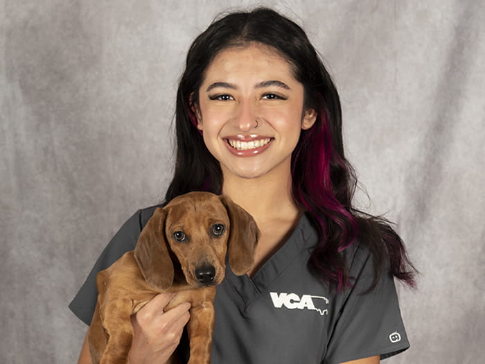 VCA Baring Boulevard Animal Hospital | Staff Page