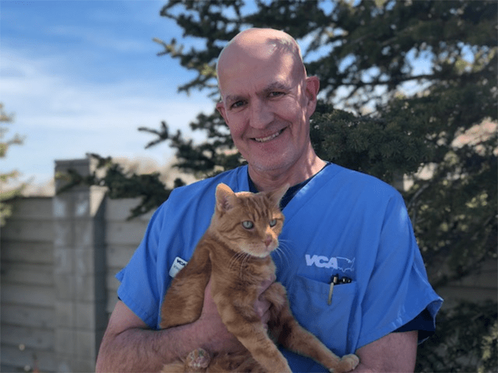 VCA Feline Medical Center | Staff Page