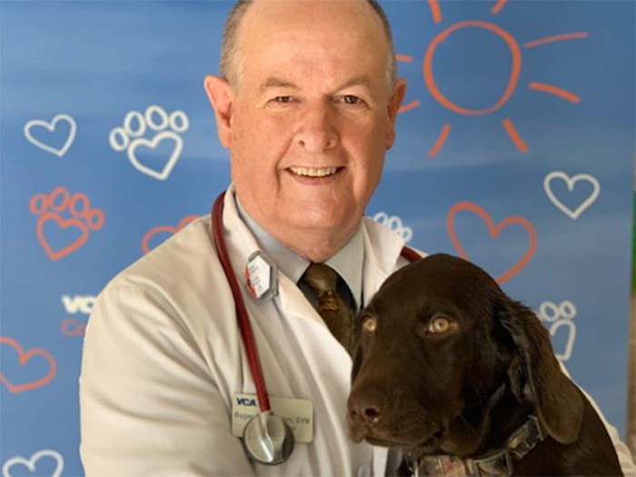 VCA Spring Mountain Animal Hospital | Staff Page