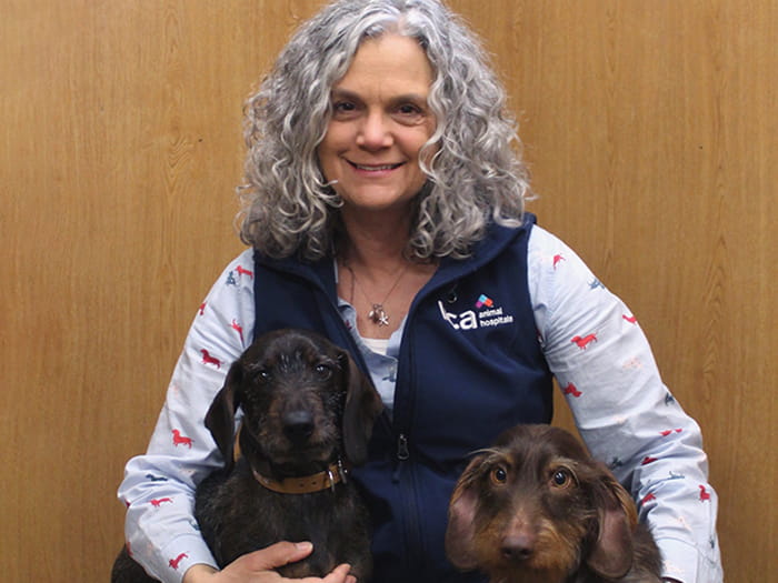 VCA Russell Animal Hospital | Staff Page