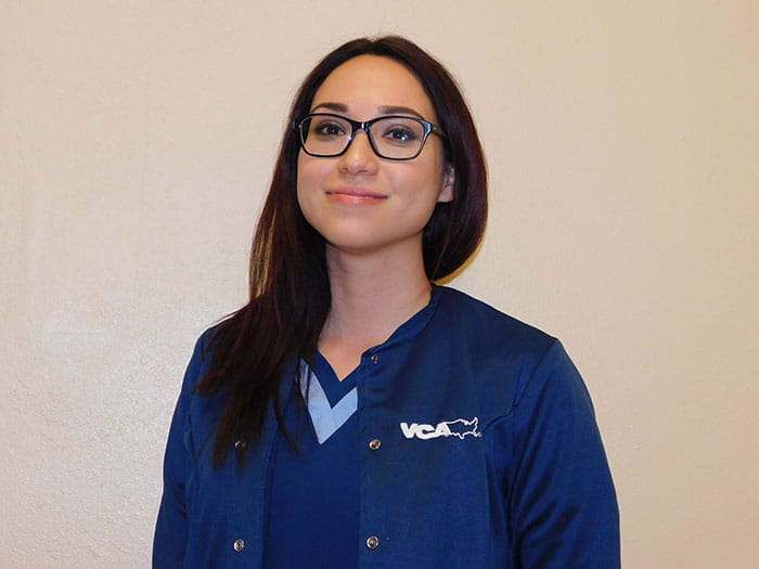 VCA West Mesa Animal Hospital | Staff Page