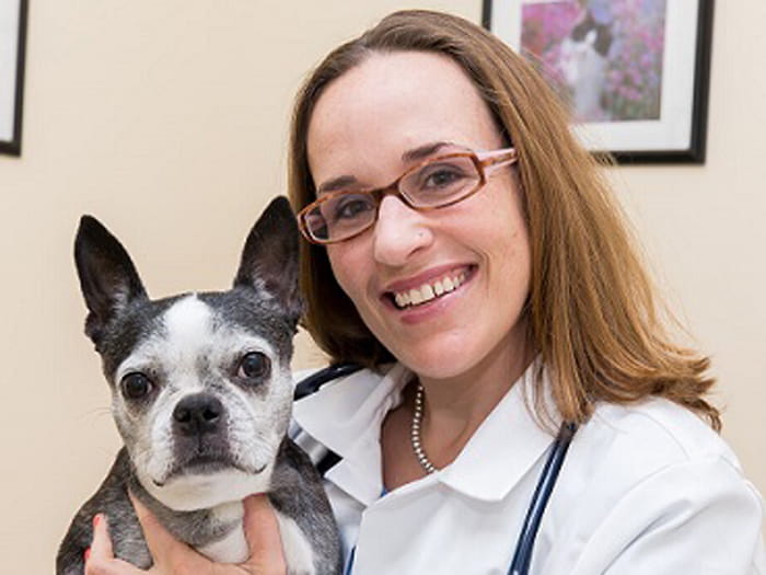 VCA Colonial Animal Hospital | Staff Page