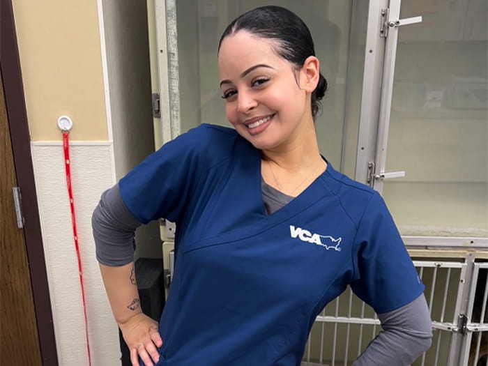 County Animal Clinic | Staff Page
