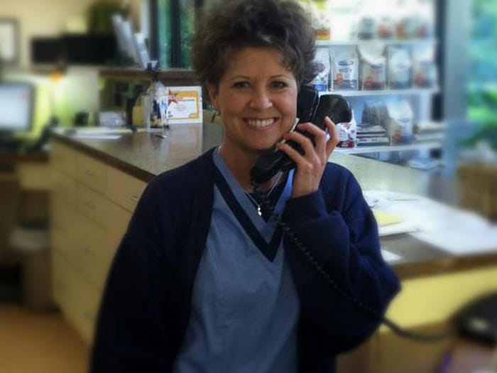 VCA Seaside Animal Hospital | Staff Page