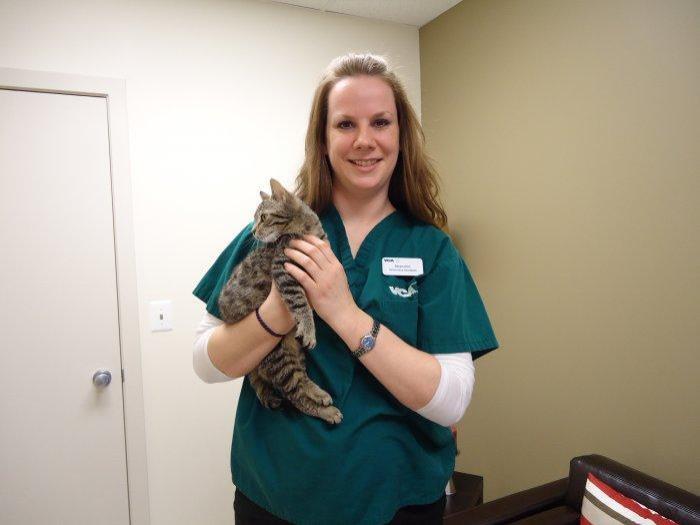 Shannon Cachet | VCA Midpark Animal Hospital