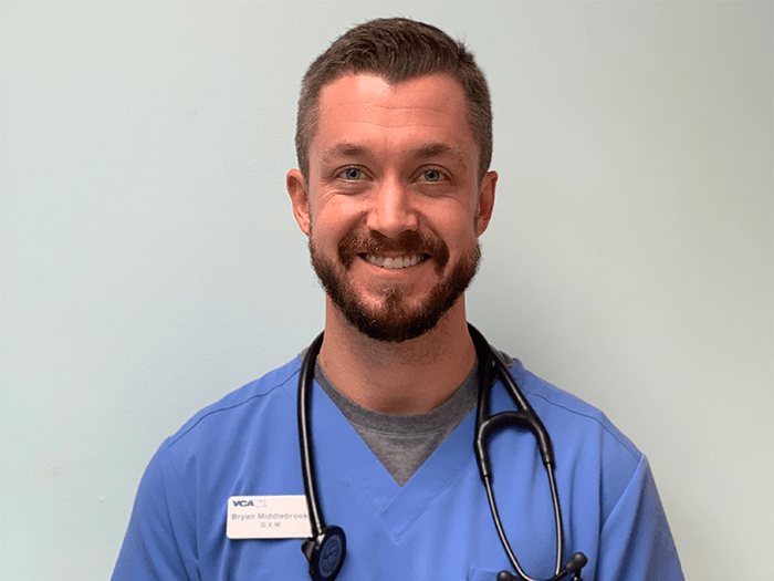 VCA Sawmill Animal Hospital | Staff Page