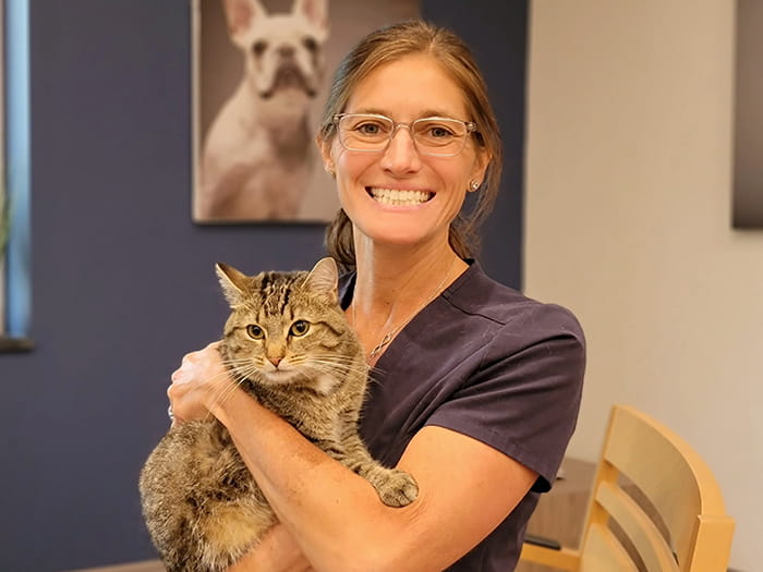 VCA AVH Animal Hospital | Staff Page