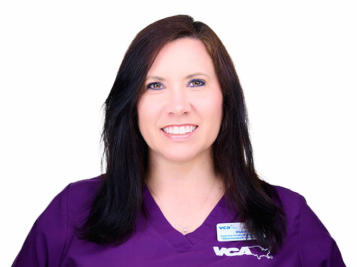 VCA Metzger Animal Hospital | Staff Page