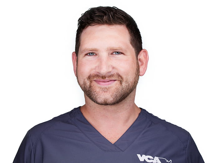 VCA Metzger Animal Hospital | Staff Page
