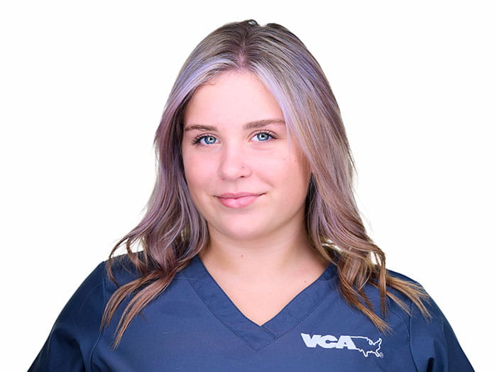 VCA Metzger Animal Hospital | Staff Page