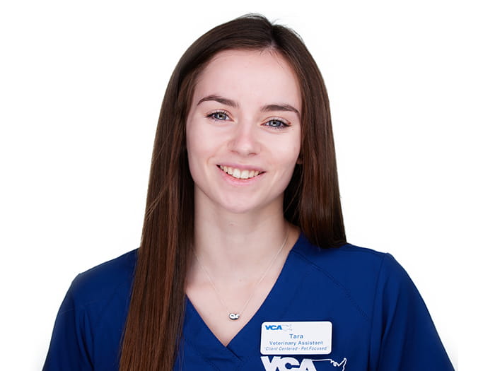 VCA Metzger Animal Hospital | Staff Page