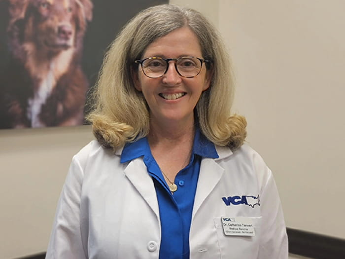 VCA Old Marple Animal Hospital | Staff Page