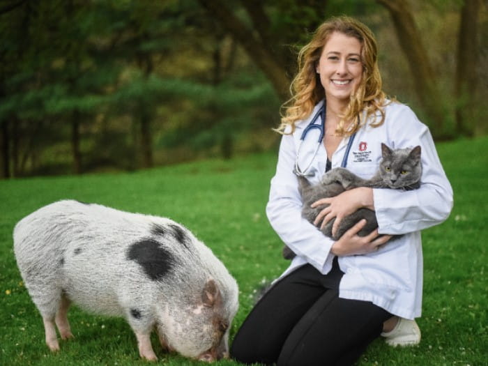 VCA Valley Vet Animal Hospital | Staff Page