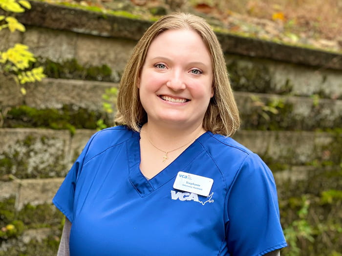 VCA Valley Vet Animal Hospital | Staff Page