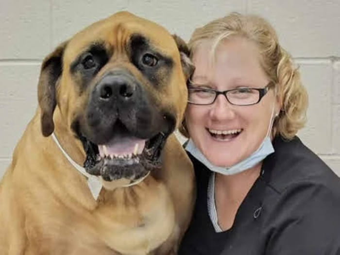 VCA Wexford Animal Hospital | Staff Page