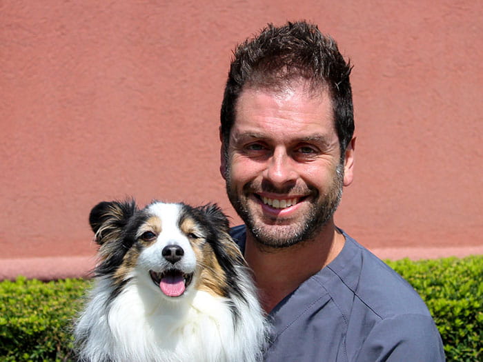 VCA Povar Animal Hospital | Staff Page