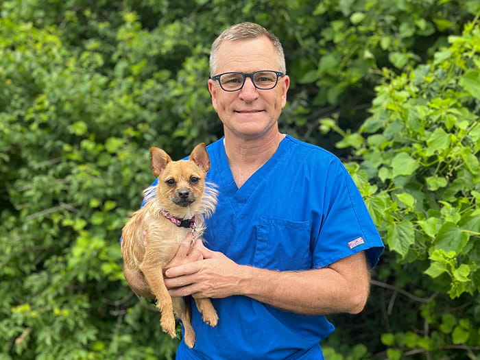 VCA Regional Institute for Vet Emergencies and Referrals | Staff Page