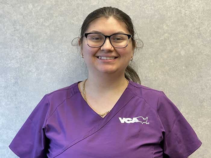 VCA Arbor Animal Hospital | Staff Page