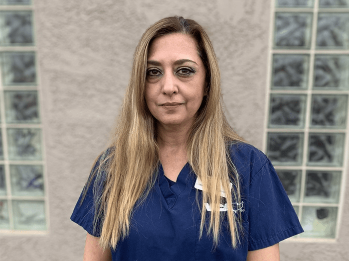 VCA Arbor Animal Hospital | Staff Page