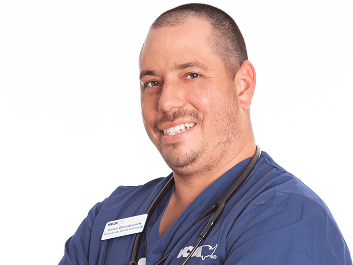 VCA Becker Animal Hospital | Staff Page