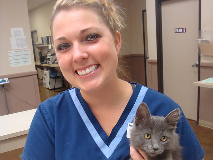 VCA DeSoto Animal Hospital | Staff Page