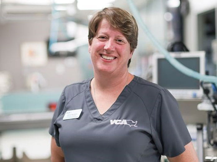 VCA Jones Road Animal Hospital | Staff Page