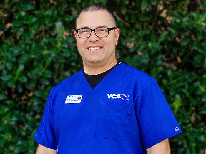 VCA Lovers Lane Animal Hospital | Staff Page
