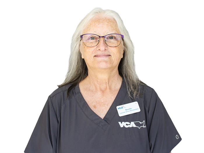 VCA Mainland Animal Hospital | Staff Page