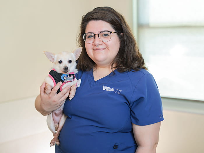 VCA Oso Creek Animal Hospital & Emergency Center | Staff Page