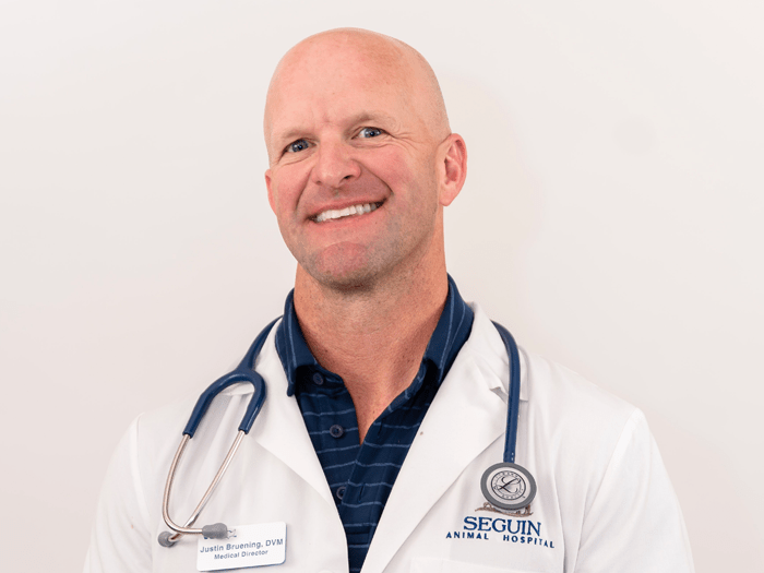 VCA Seguin Animal Hospital | Staff Page