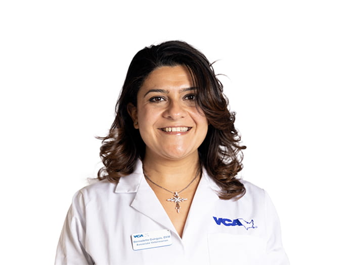 VCA Spring Branch Animal Hospital | Staff Page