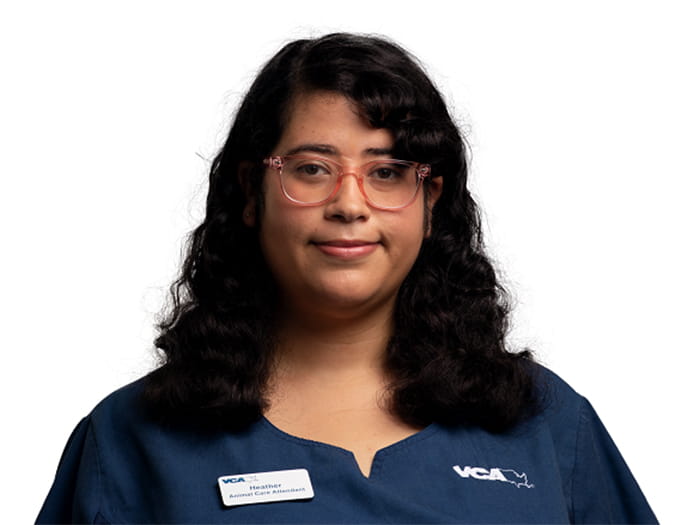 VCA Spring Branch Animal Hospital | Staff Page